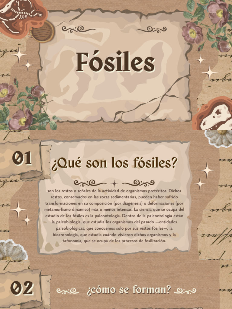 Introducción a los Fósiles | PDF | Fósil | Paleontología