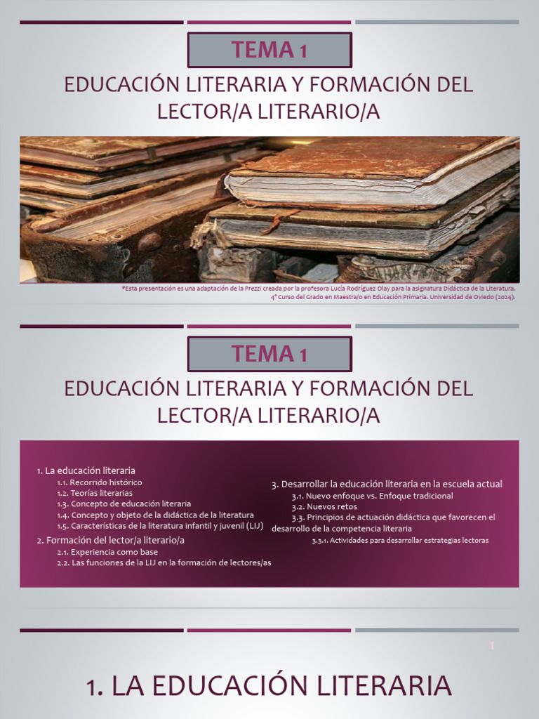TEMA 1 - Educación Literaria y Formación Del Lector Literario | PDF ...