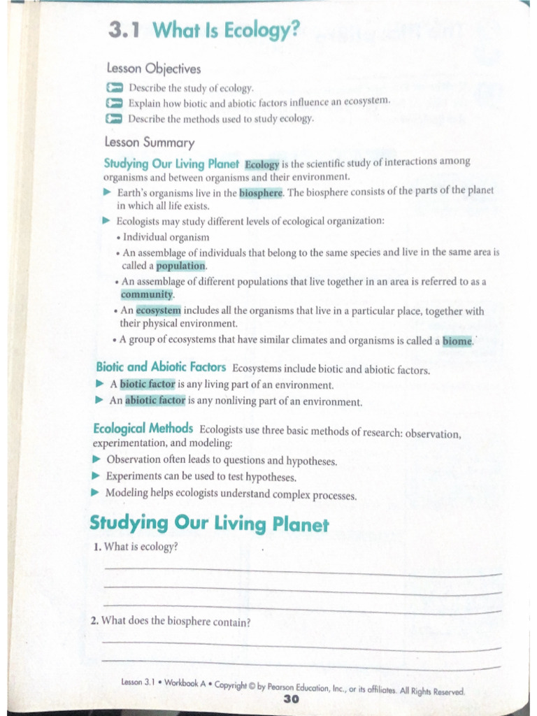 Understanding Ecology and Ecosystems | PDF | Food Web | Ecology