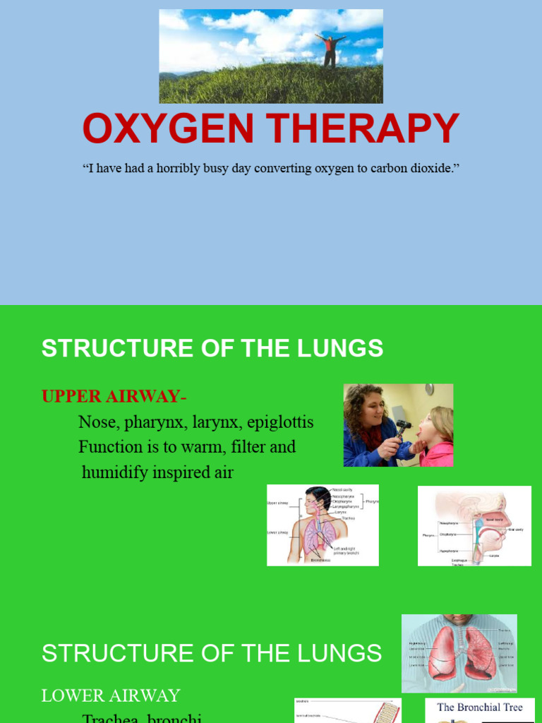 Oxygen therapy | PDF | Respiratory Tract | Lung