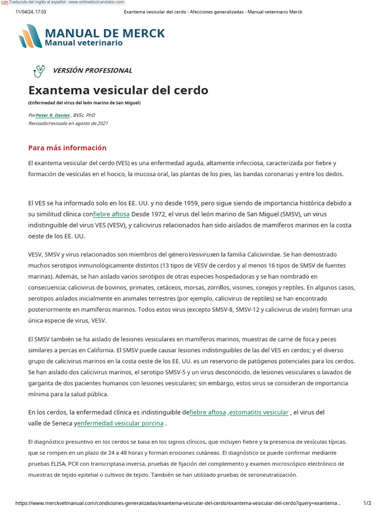 Exantema Vesicular en Cerdos: Guía Clínica | PDF | Epidemiología ...
