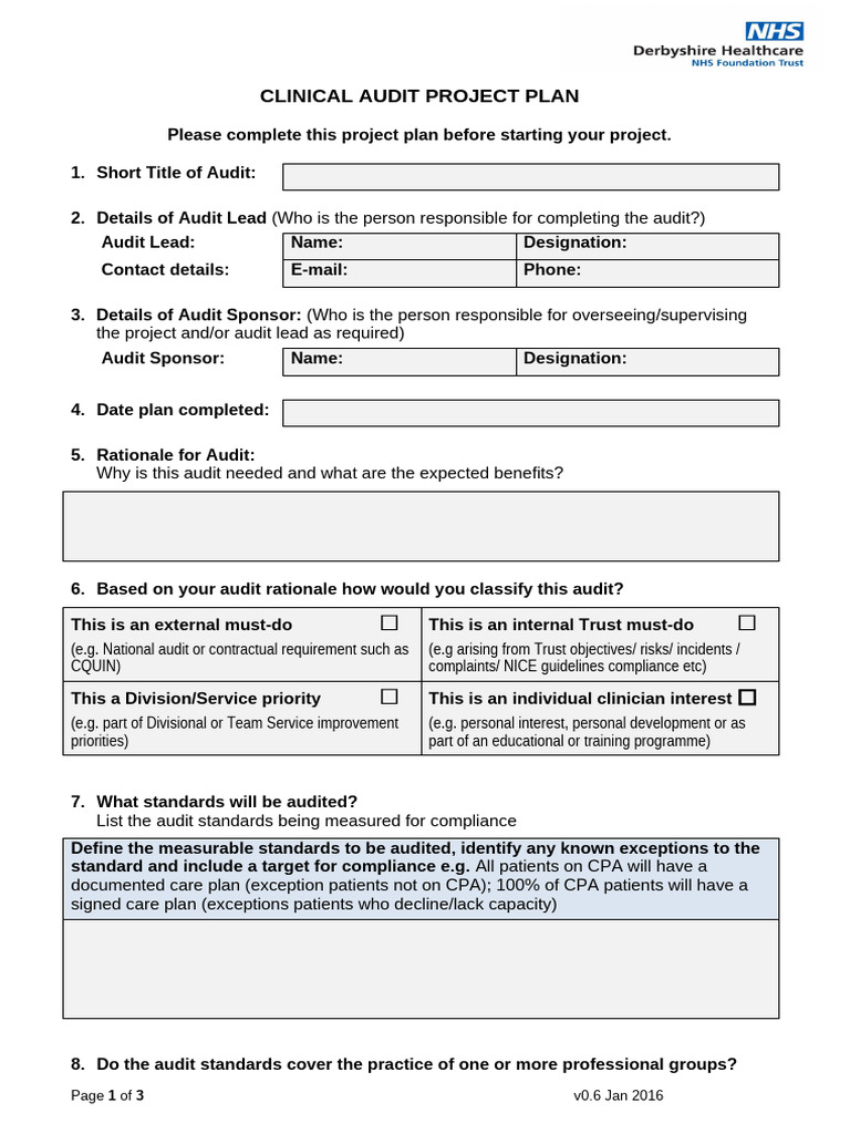 Clinical Audit Project Plan | PDF | Audit | Business