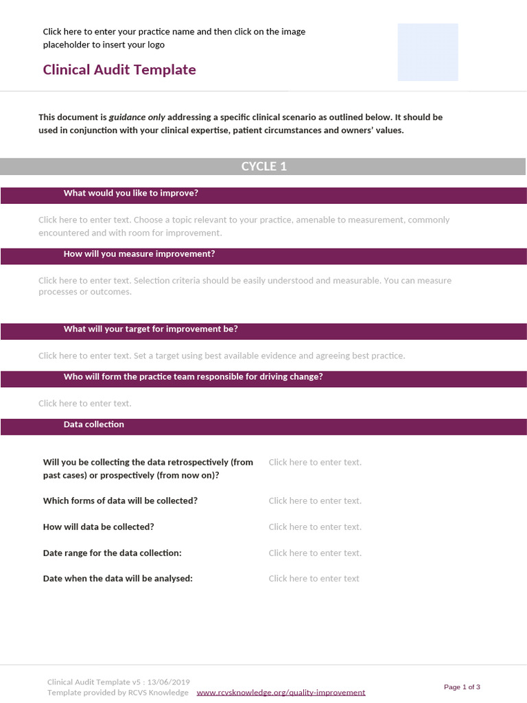 1clinical Audit Template v5 | PDF | Health Care