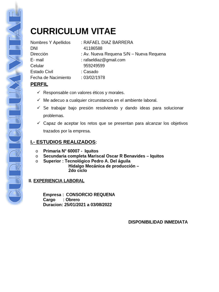 CURRICULUM VITAE Rafael 1 | PDF
