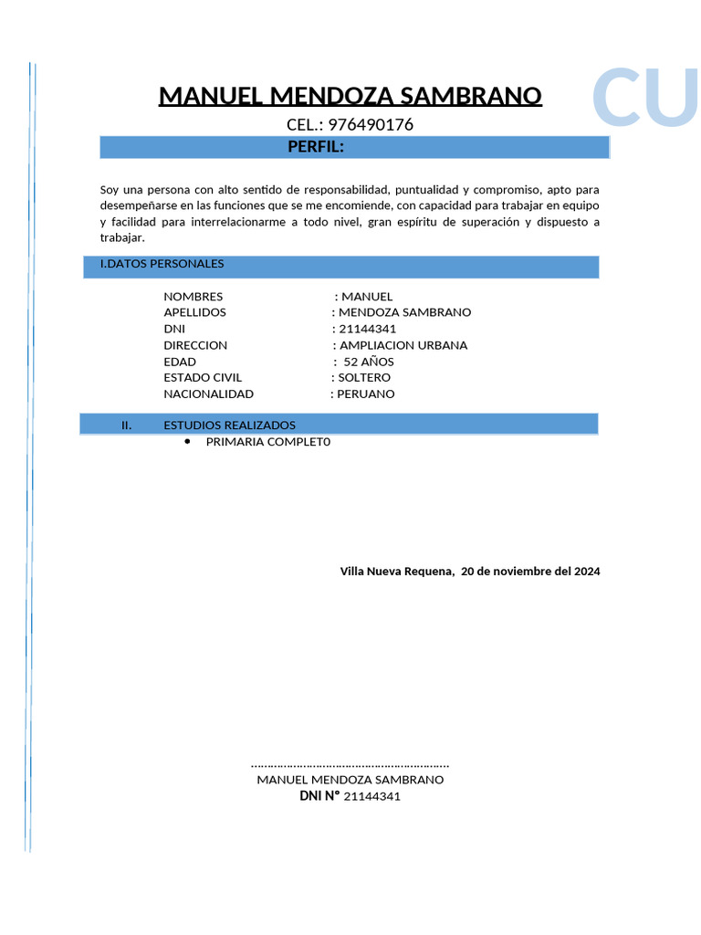 Curriculum Vitae Manuel Sambrano | PDF