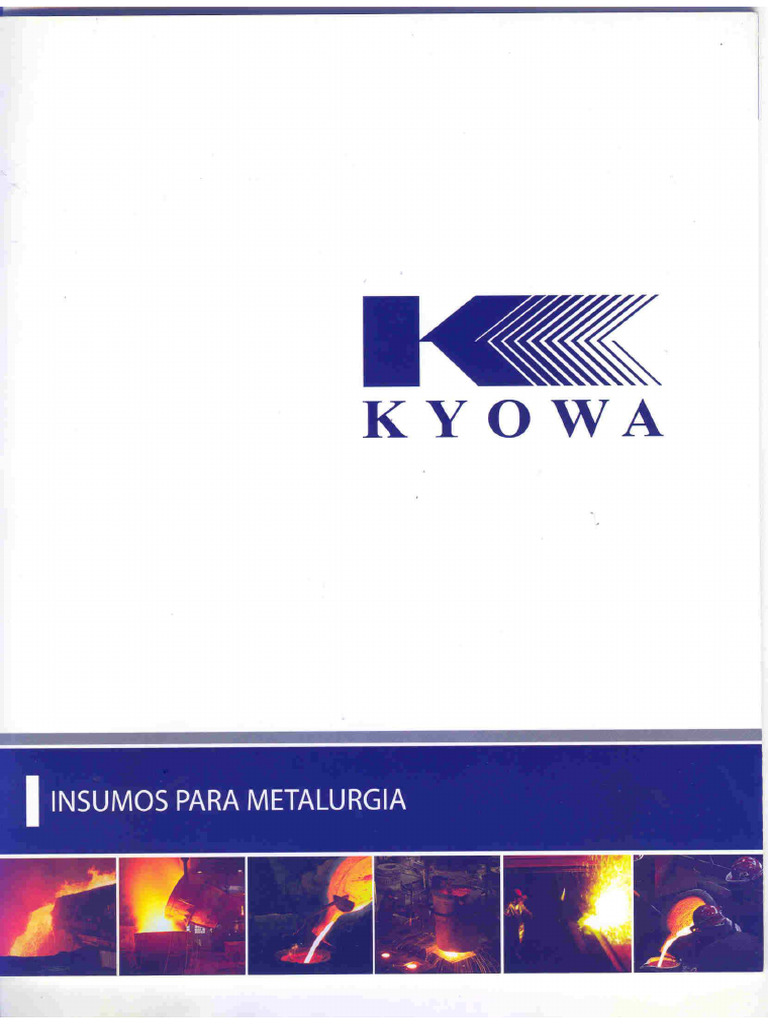 Catalogo Produtos Kyowa (Versão Atual) | PDF