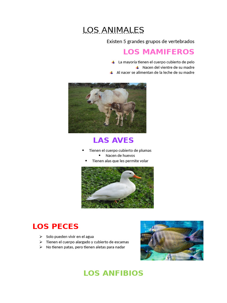Los Animales Tarea Nicole | PDF