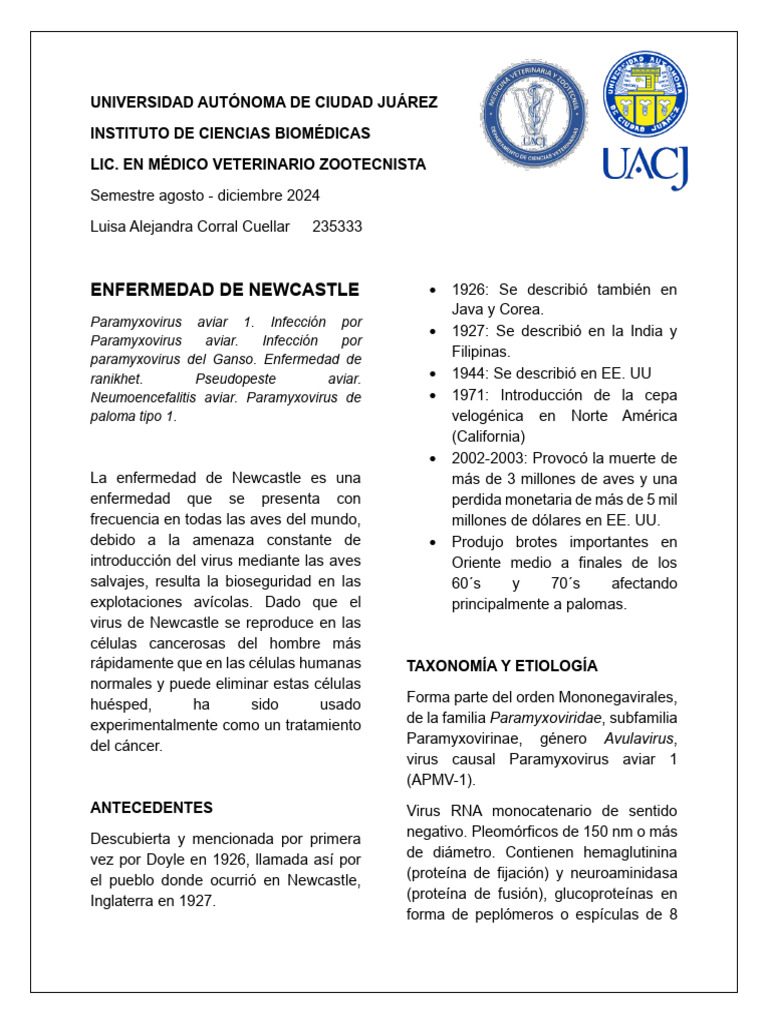 Síntomas y Tratamiento de Newcastle | PDF | Virus | Influenza