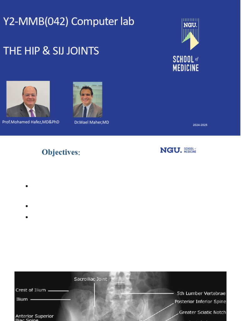 Y2-MMB-042) HipSacro-iliac Joint (2024-2025) | PDF