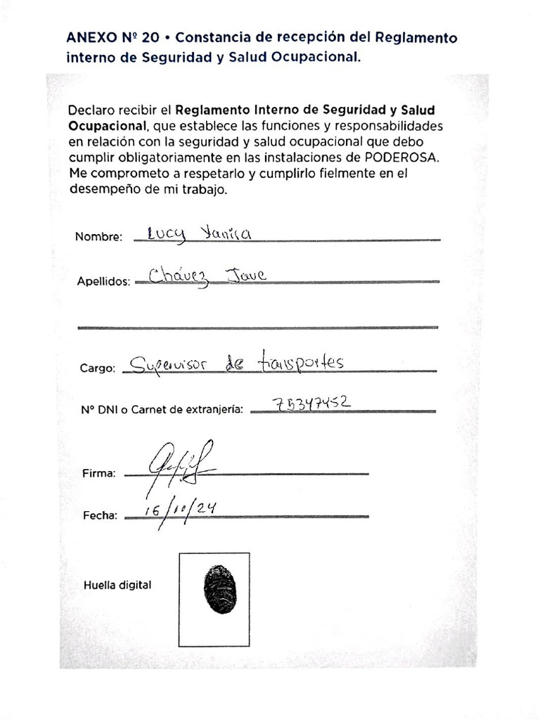 Cargo - Lucy Chavez | PDF