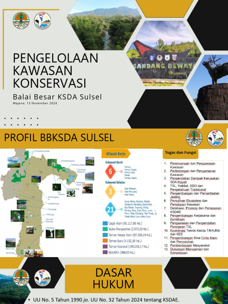 Pengelolaan Kawasan Konser USB-1 | PDF