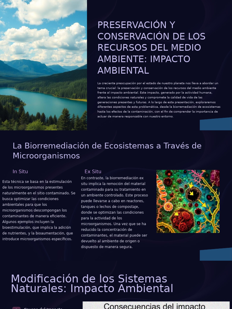 Preservacion y Conservacion de Los Recursos Del Medio Ambiente Impacto ...