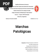 Marcha Trendelenburg: Análisis y Alteraciones | PDF | Pelvis | Sistema ...