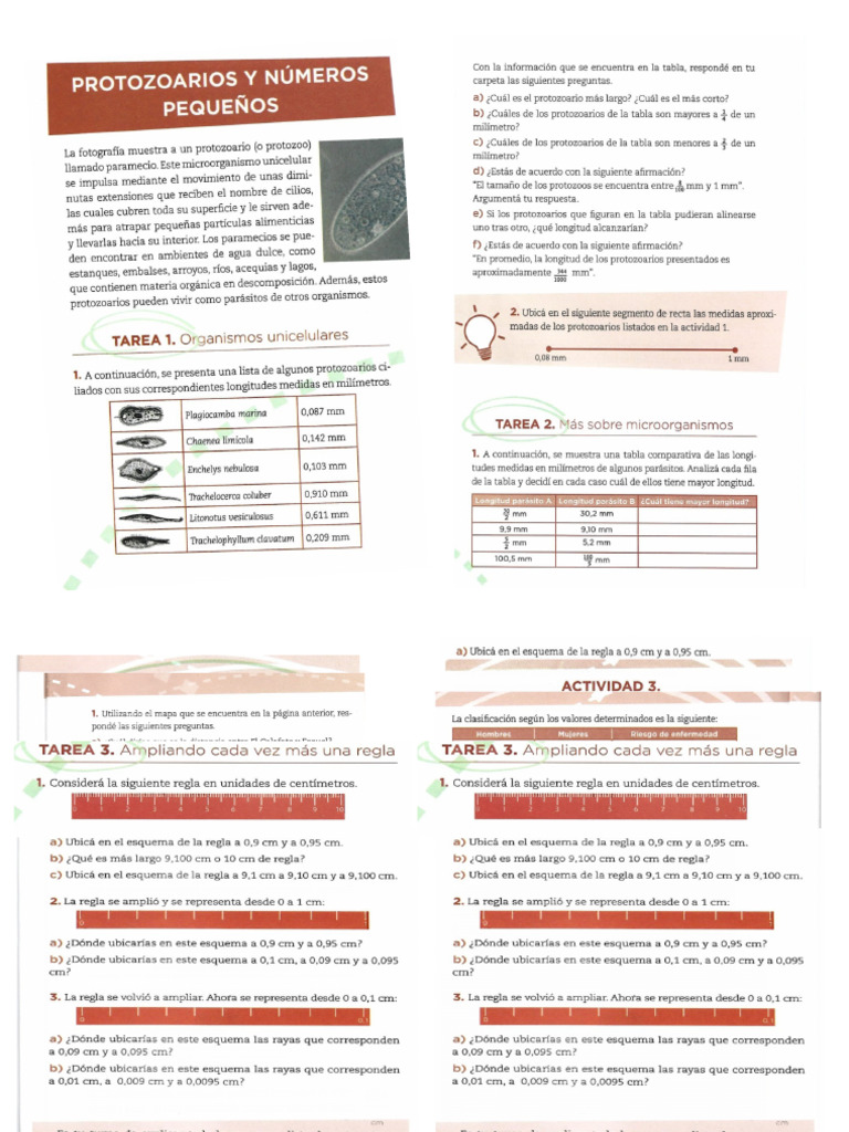 Libro Mate Secundario Frac Dec | PDF