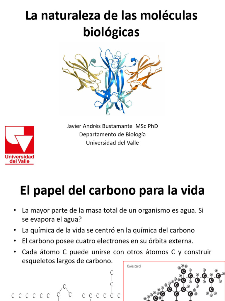 CLASE 3 - La Naturaleza de Las Moléculas Biológicas | PDF ...