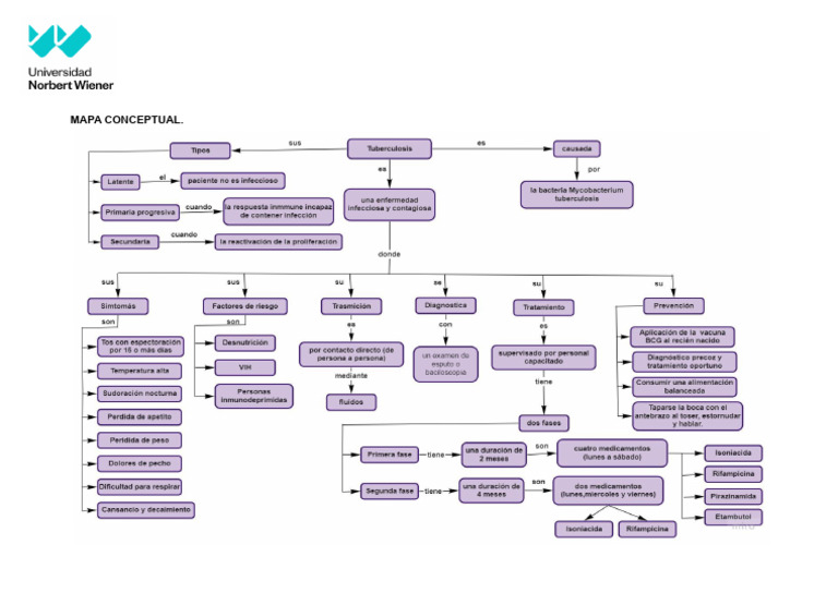 Mapa Conceptual 1 | PDF