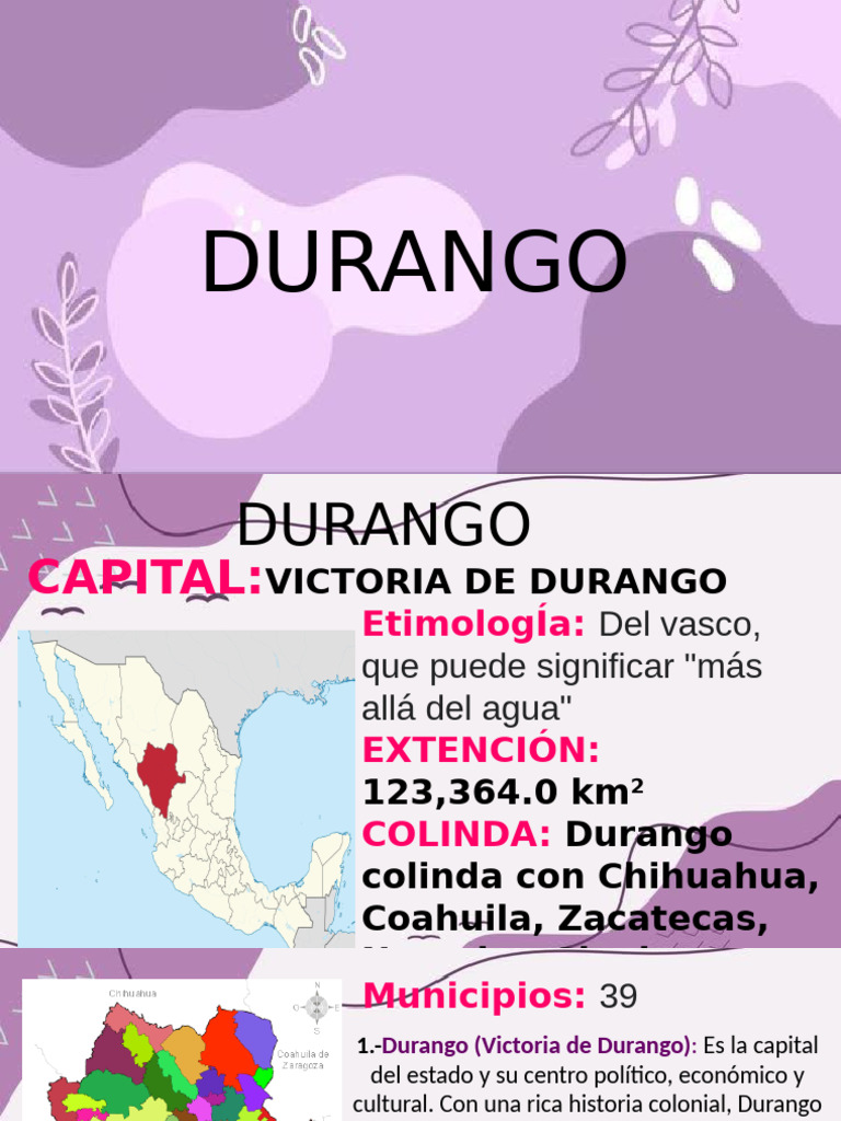 Durango | PDF | Roca ígnea | Ciencias de la Tierra
