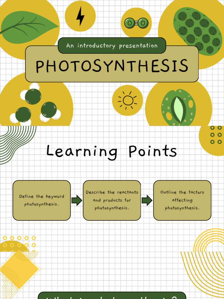 Key Points of Photosynthesis Explained | PDF | Photosynthesis | Plants