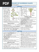 Morphology of Flowering Plants Annotated NCERT | PDF