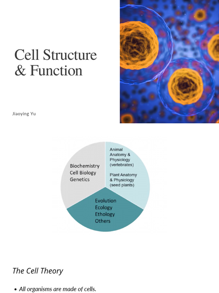 1 Cell Structure & Function | PDF | Endoplasmic Reticulum | Chloroplast
