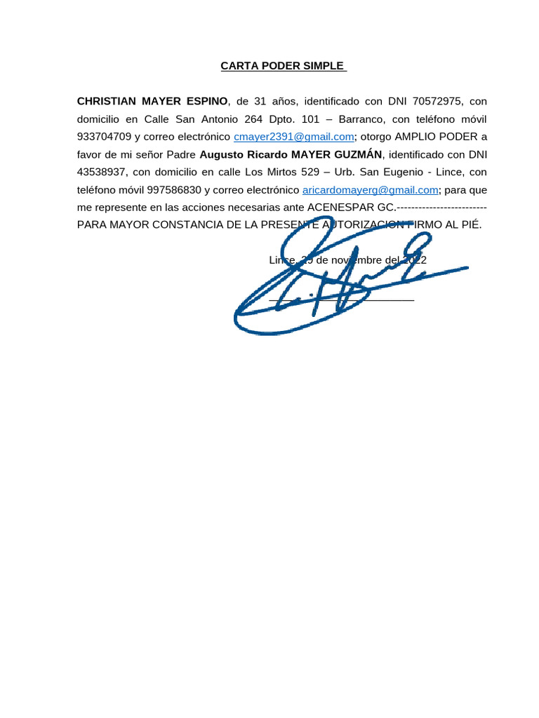 Carta Poder Simple de Representación | PDF