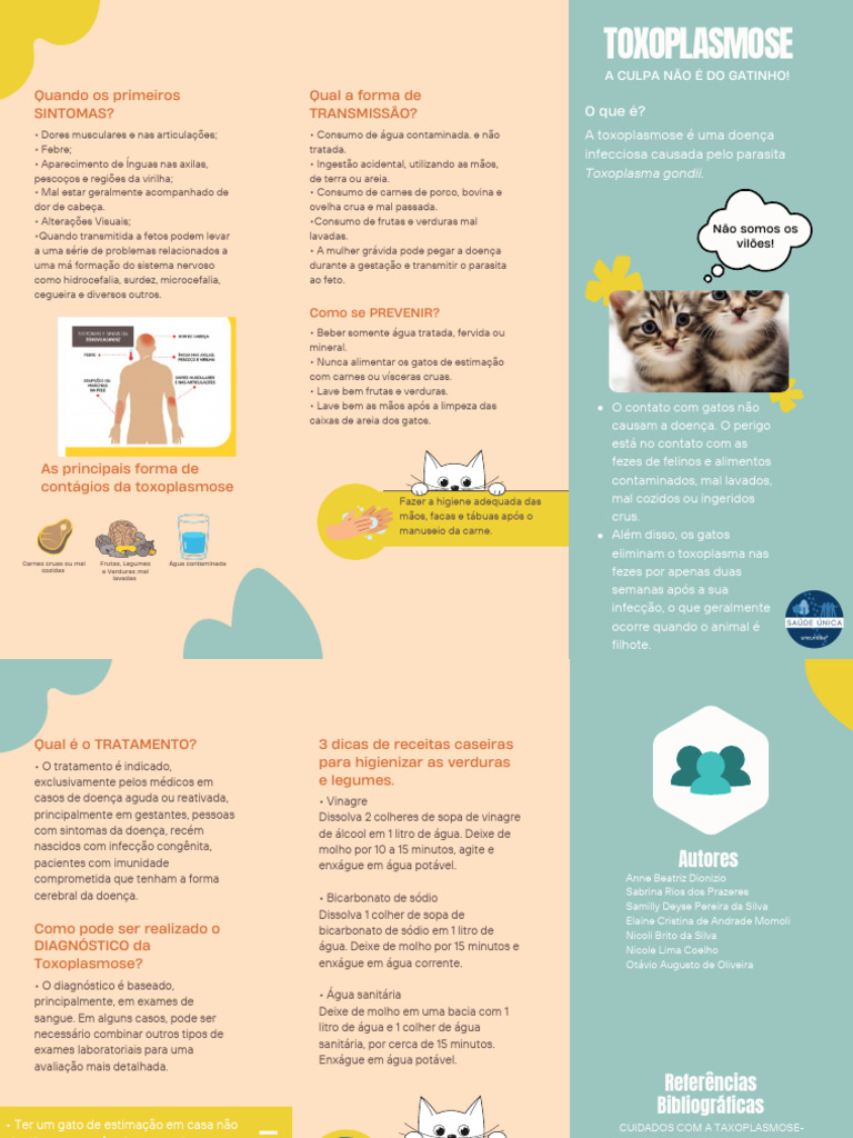 Toxoplasmose: Causas, Sintomas e Prevenção | PDF | Especialidades ...