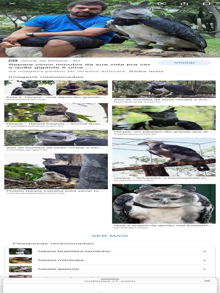 Tamanho da Harpia Brasileira | PDF | Juvenil