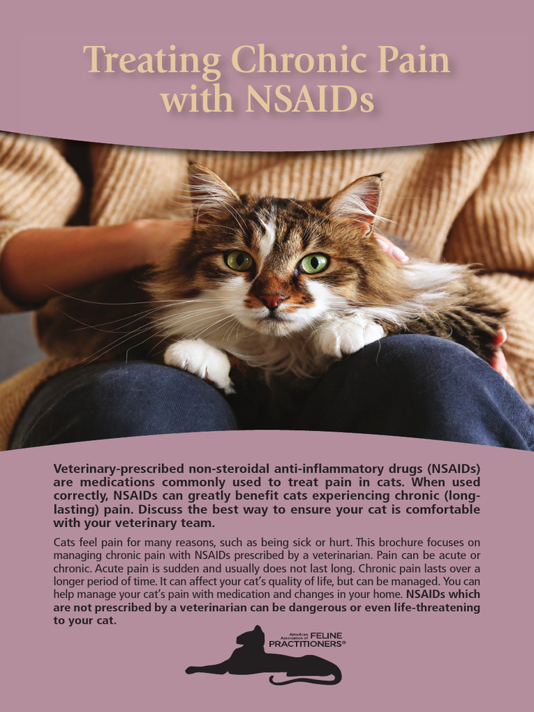 AAFP ClientBroch Guideline ChronicPainwNSAIDs Web 1 | PDF | Pain ...