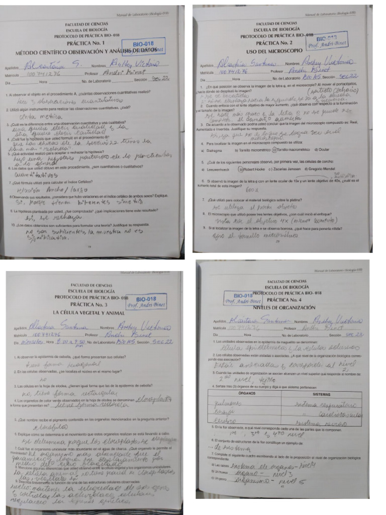 Protocolo de Practica | PDF