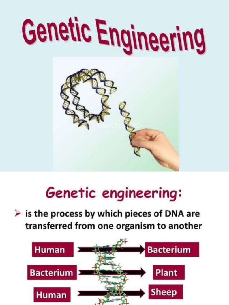 Genetic Engineering | PDF