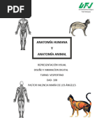 Esquema Basico de La Anatomia de Un Perro | PDF | Vértebra | Esqueleto