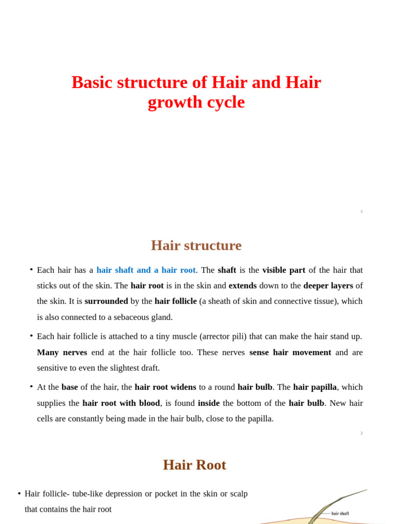 Hair Structure and Growth Cycle Overview | PDF | Hair | Skin