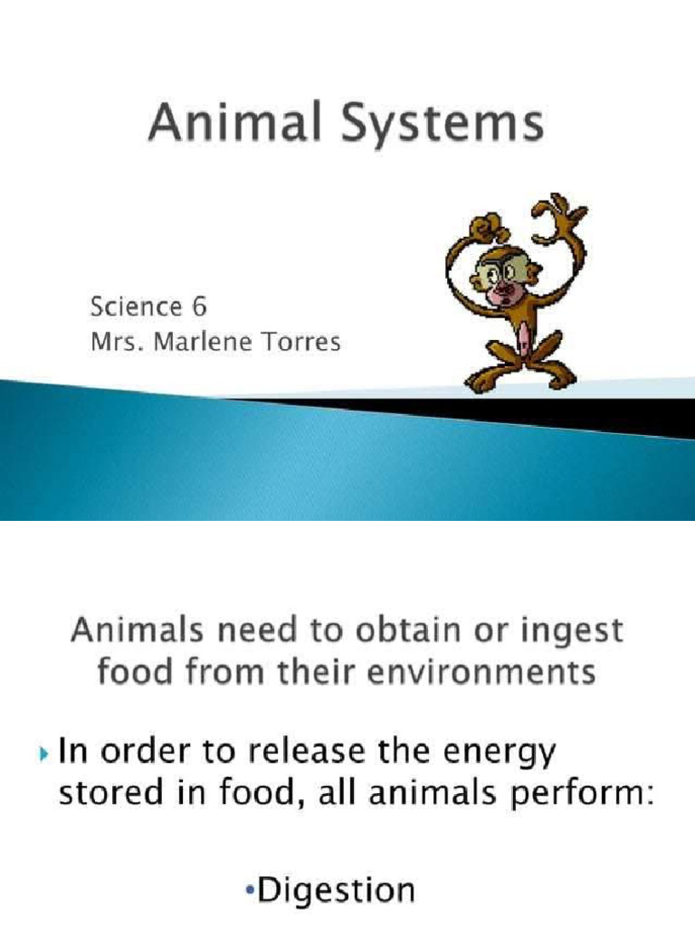 Animal System | PDF