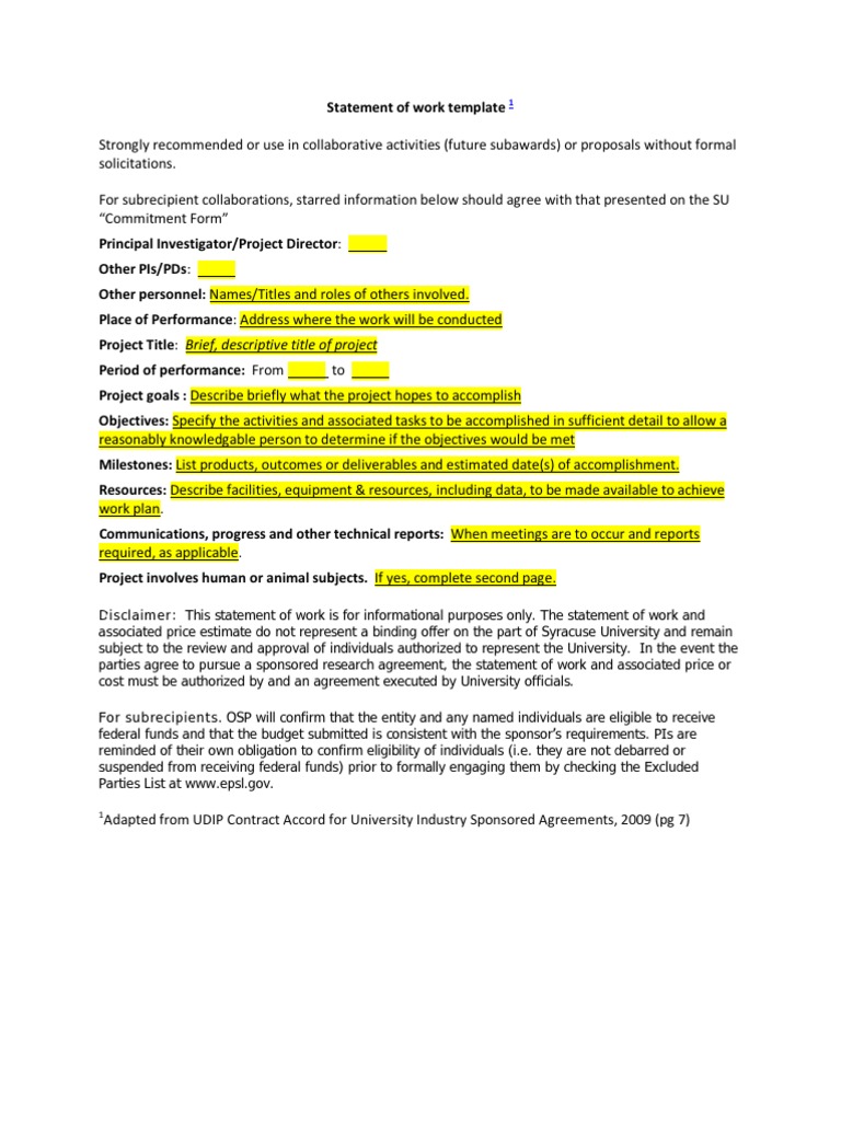 Statement of Work Template | PDF