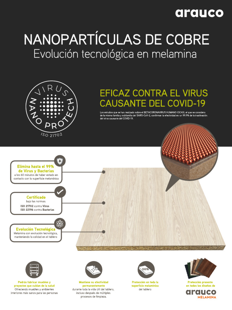 Infografia Virus Nano Protech | PDF