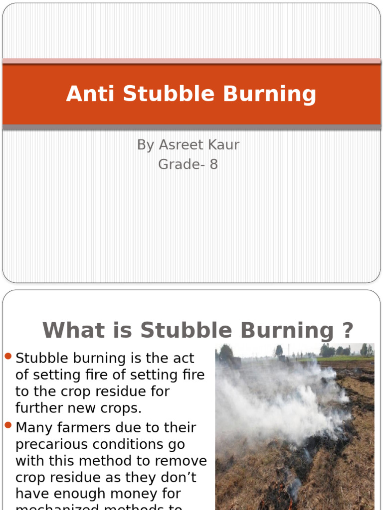 Understanding Stubble Burning Causes & Effects | PDF