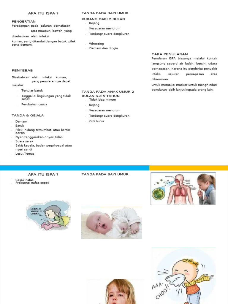 Leaflet ISPA MKH | PDF