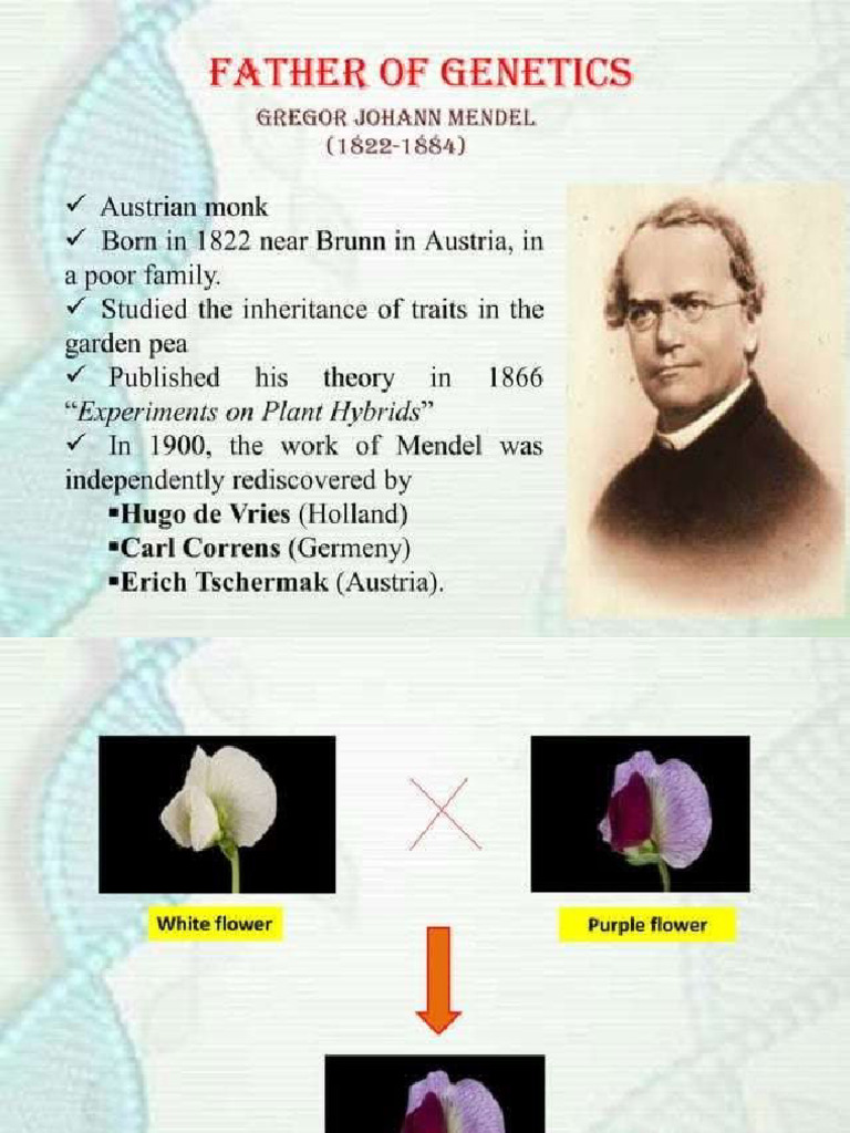 History of Genetics | PDF