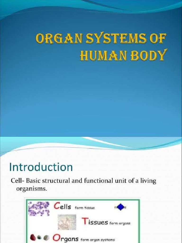 Organ System | PDF