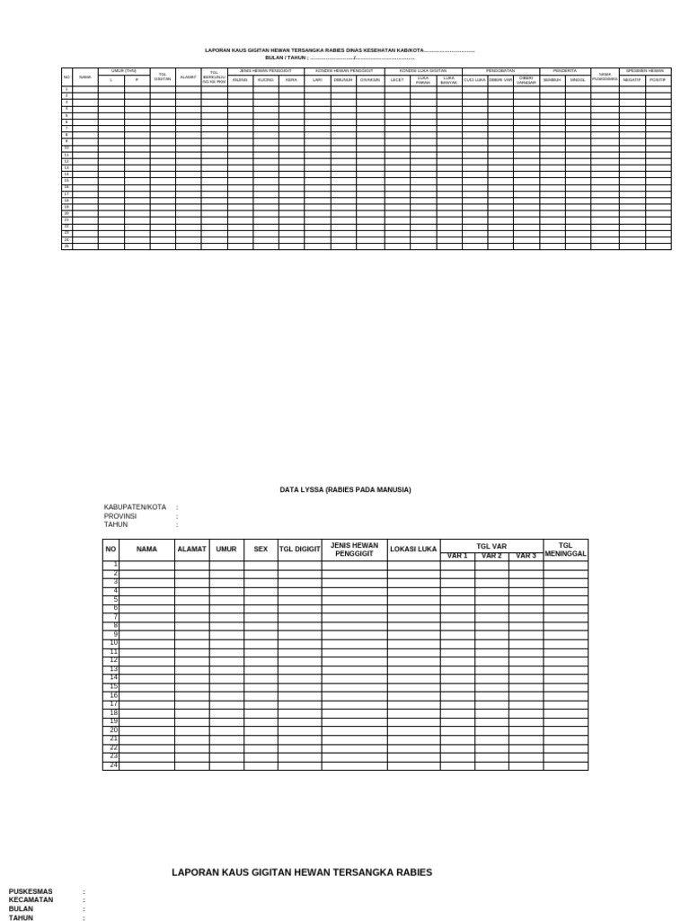Format LAPORAN RABIES | PDF