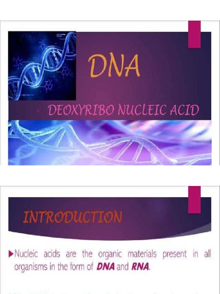 Dna Structure and Functions | PDF