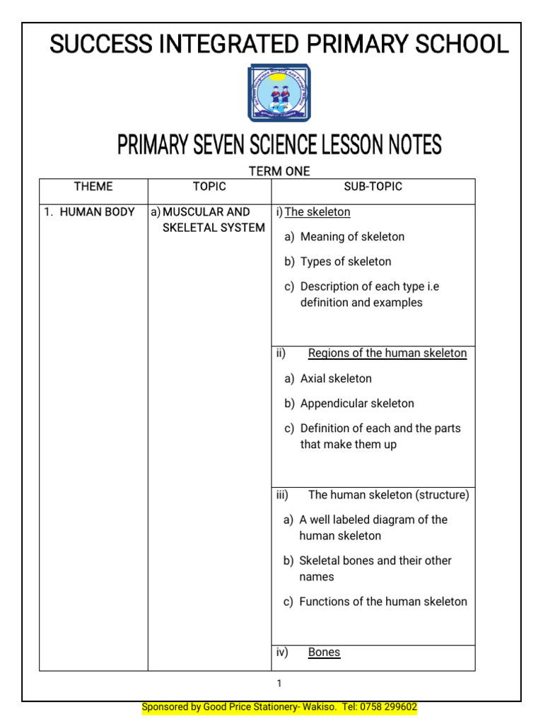 p.7 Science Lesson Notes 2020 Term 1-3 | PDF