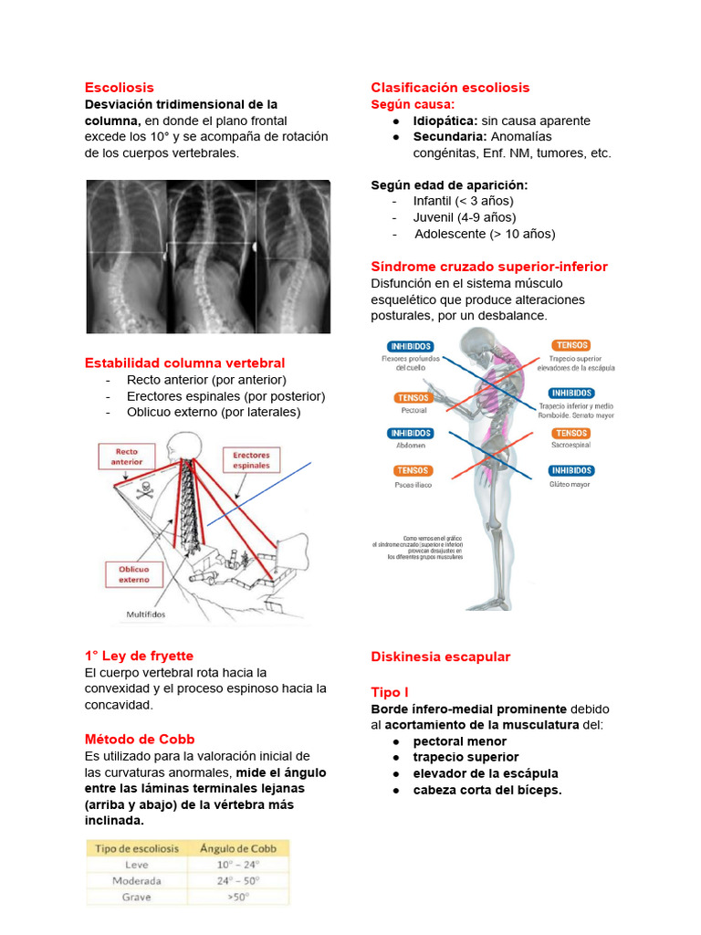 Alteraciones Posturales | PDF | La columna vertebral | Escoliosis