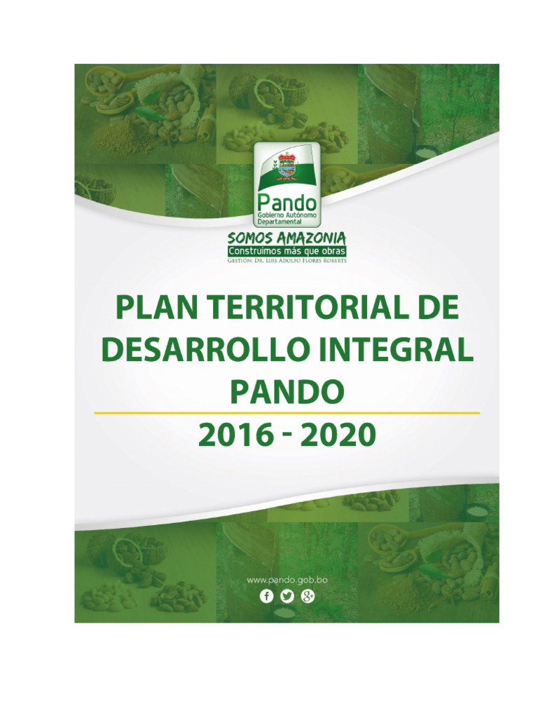 Ptdi Pando | PDF | Economias