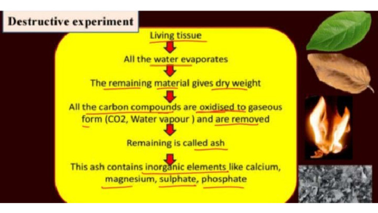 Distructive Experiment | PDF