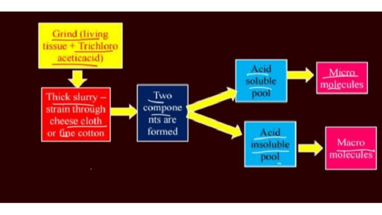 Formation of Macromolecules and Micromolecules | PDF