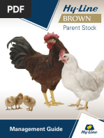 Hyline Brown STD - ENG | PDF | Nutrition | Diet & Nutrition