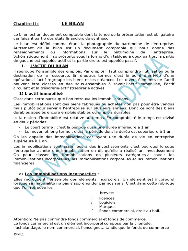 Chap2 Le Bilan | PDF | Bilan comptable | Comptabilité