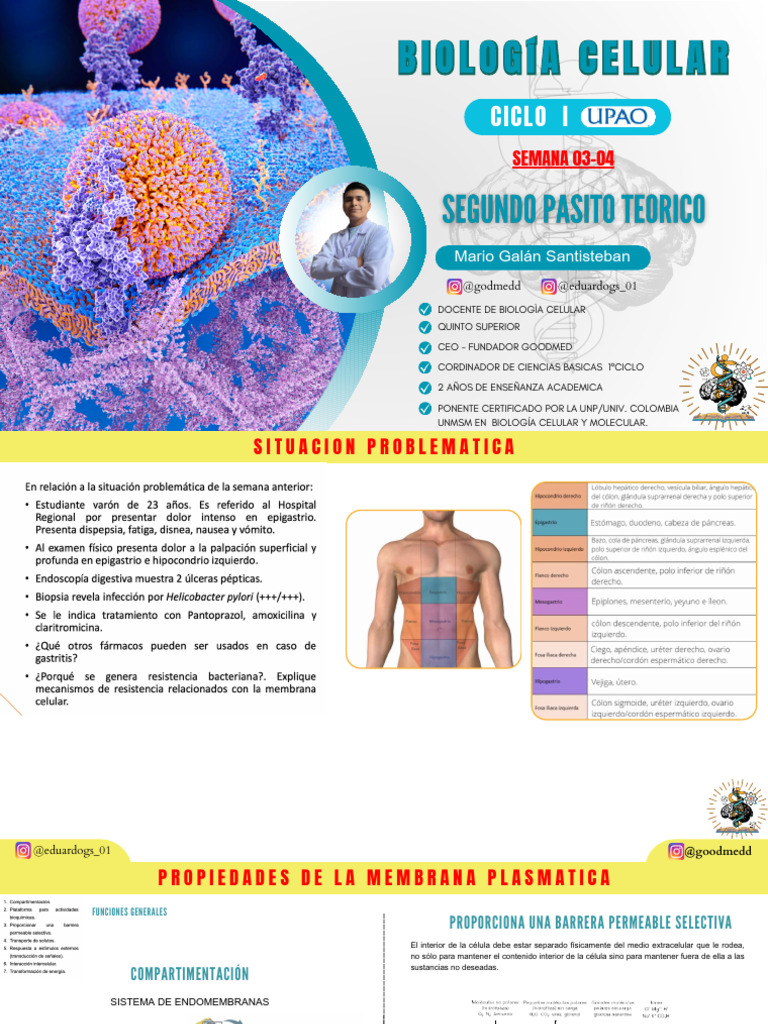 Repaso Teoria Sem 3-4 + Banco | PDF | Membrana celular | Canal de iones