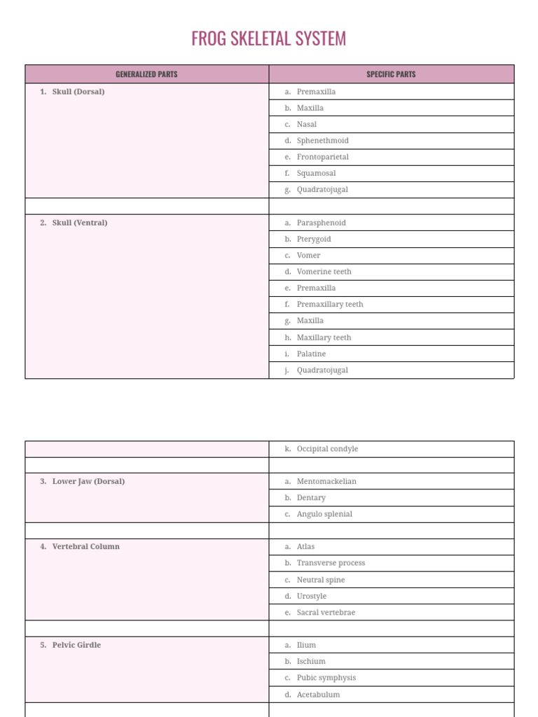Frog Skeletal System (Parts) | PDF | Vertebra | Vertebral Column